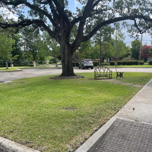 Drug and Alcohol Rehab – Virtue Recovery Houston TX | Virtue Recovery ...